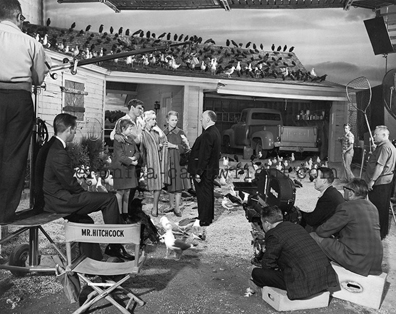 Angela Cartwright Studio