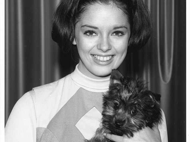 Angela Cartwright Studio