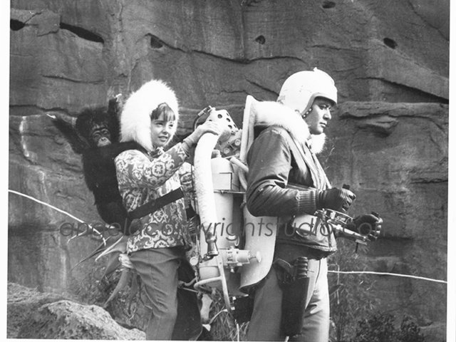 Angela Cartwright Studio