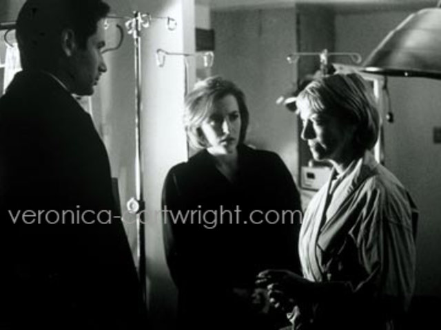 Angela Cartwright Studio